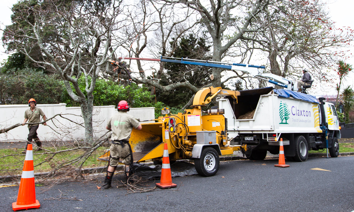 Claxton Tree, Hedge Trimming Service and Landscape Care