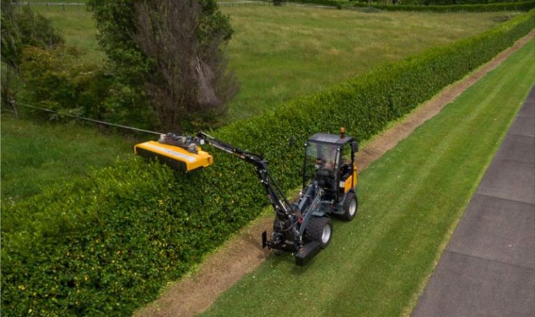 Hedge Trimmer Services – Claxton Tree and Landscape Care